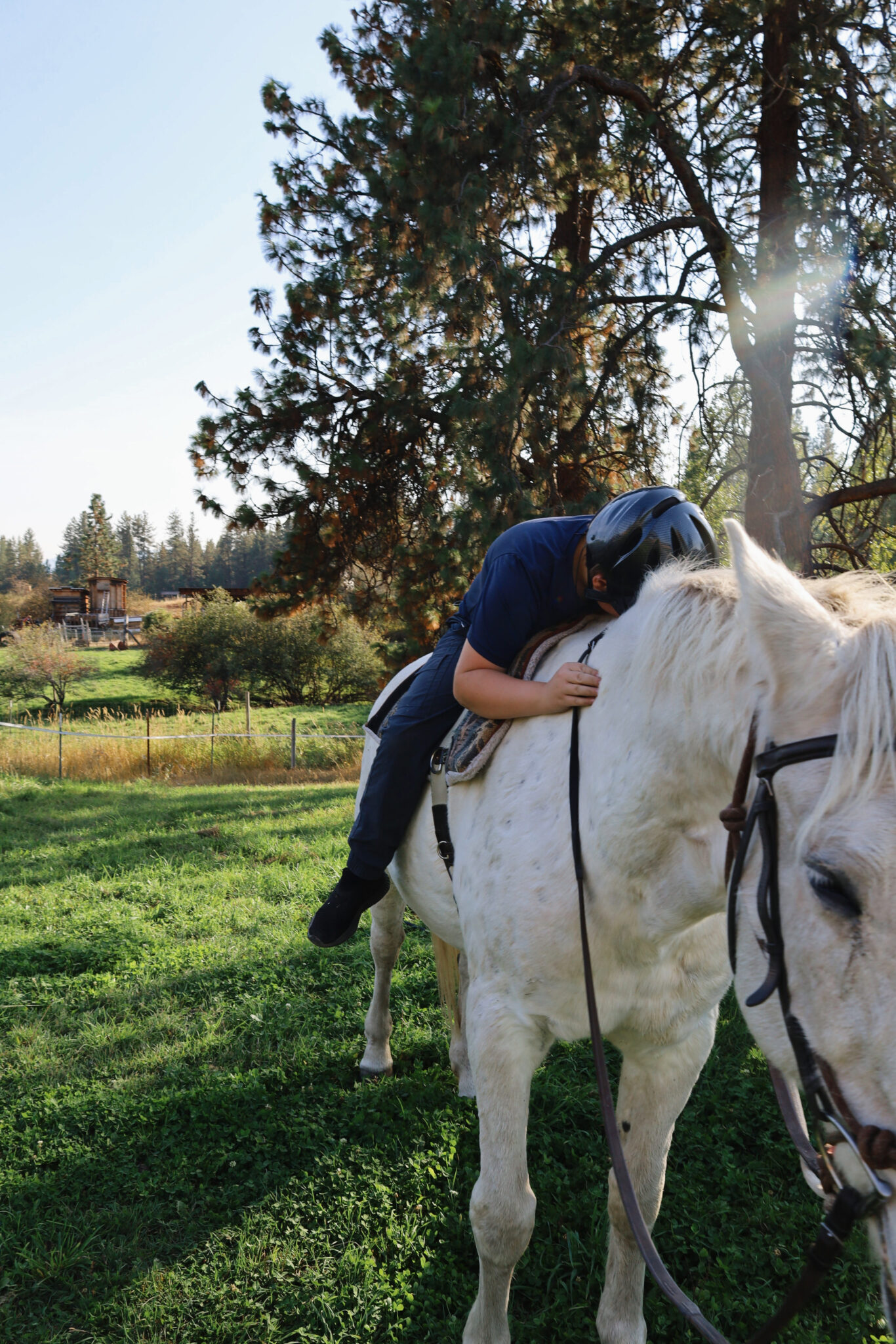 Photo Gallery – Methow Valley Riding Unlimited