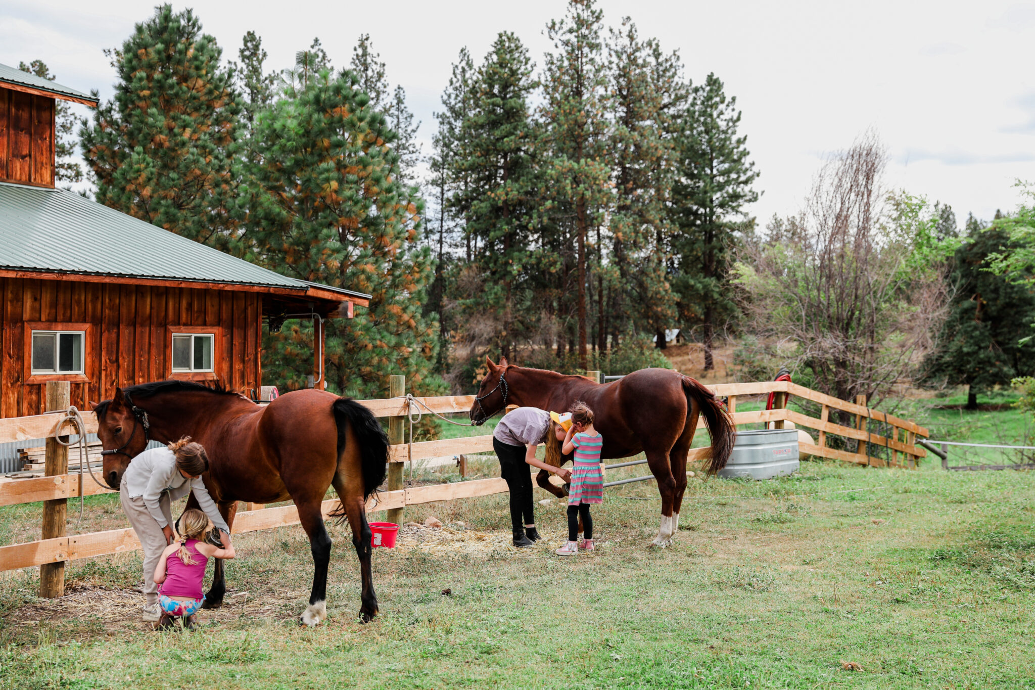 Photo Gallery – Methow Valley Riding Unlimited