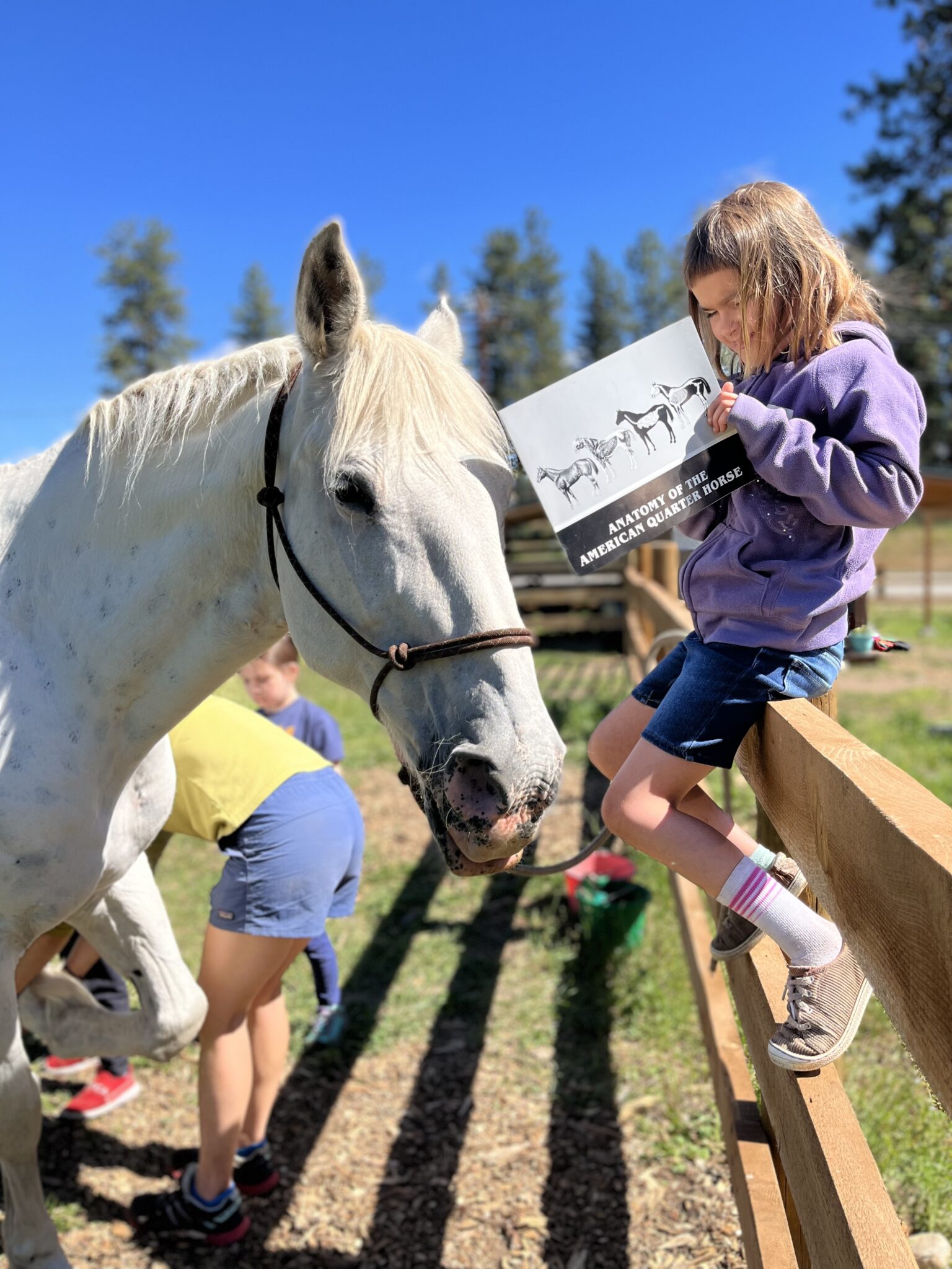 Photo Gallery – Methow Valley Riding Unlimited